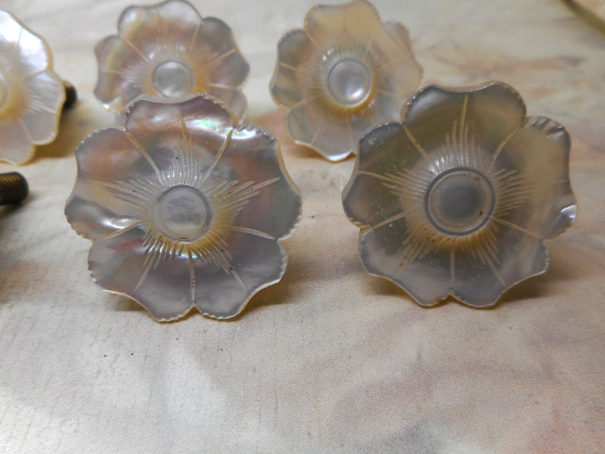 A set of nine carved pearl drawer handles. c1850 – Curio Cabinet Antiques